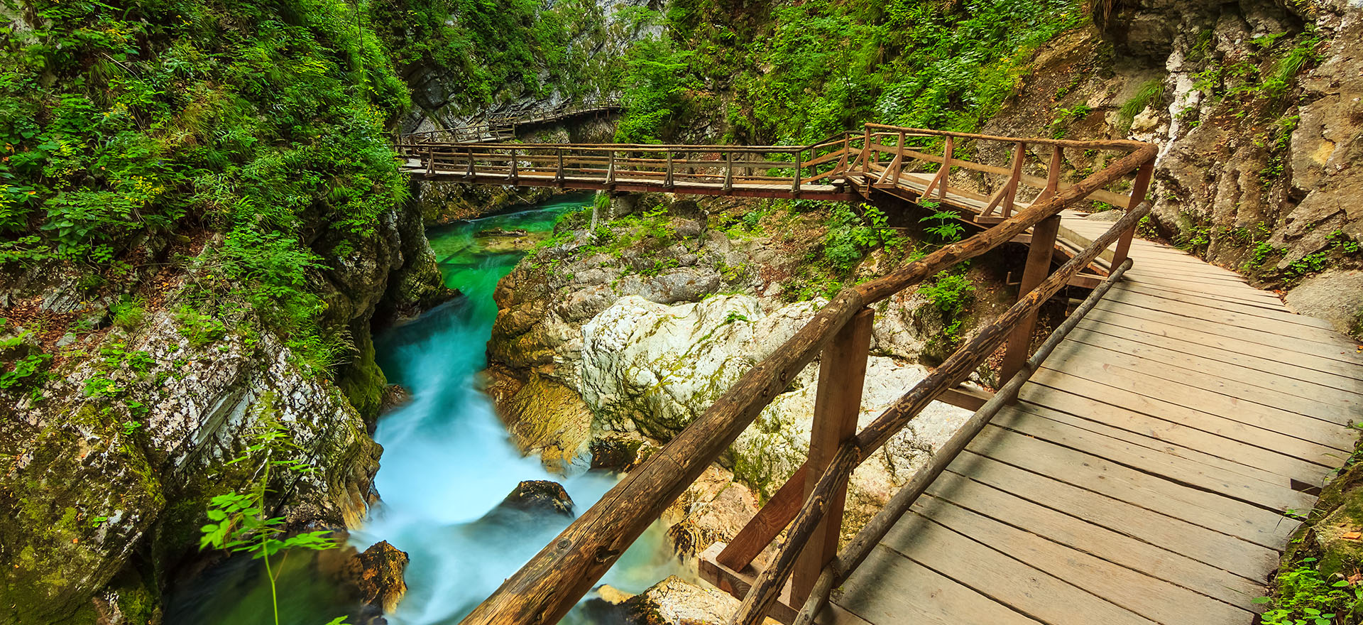 Walk & Discover: Slovenia & Lake Bled | Radio Times Travel