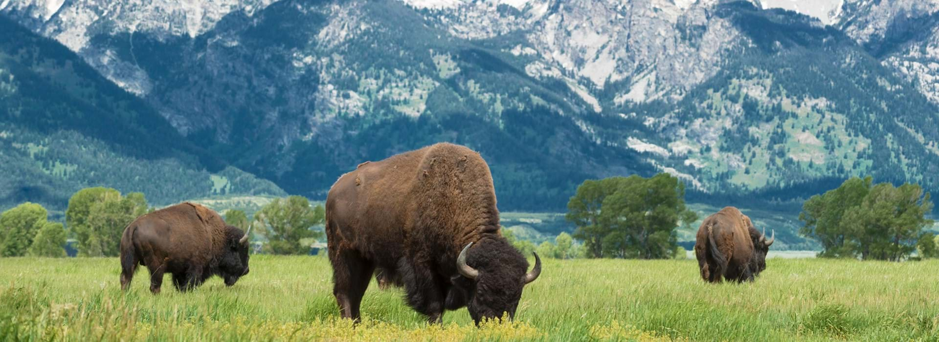 The Wonders of the US National Parks | Radio Times Travel